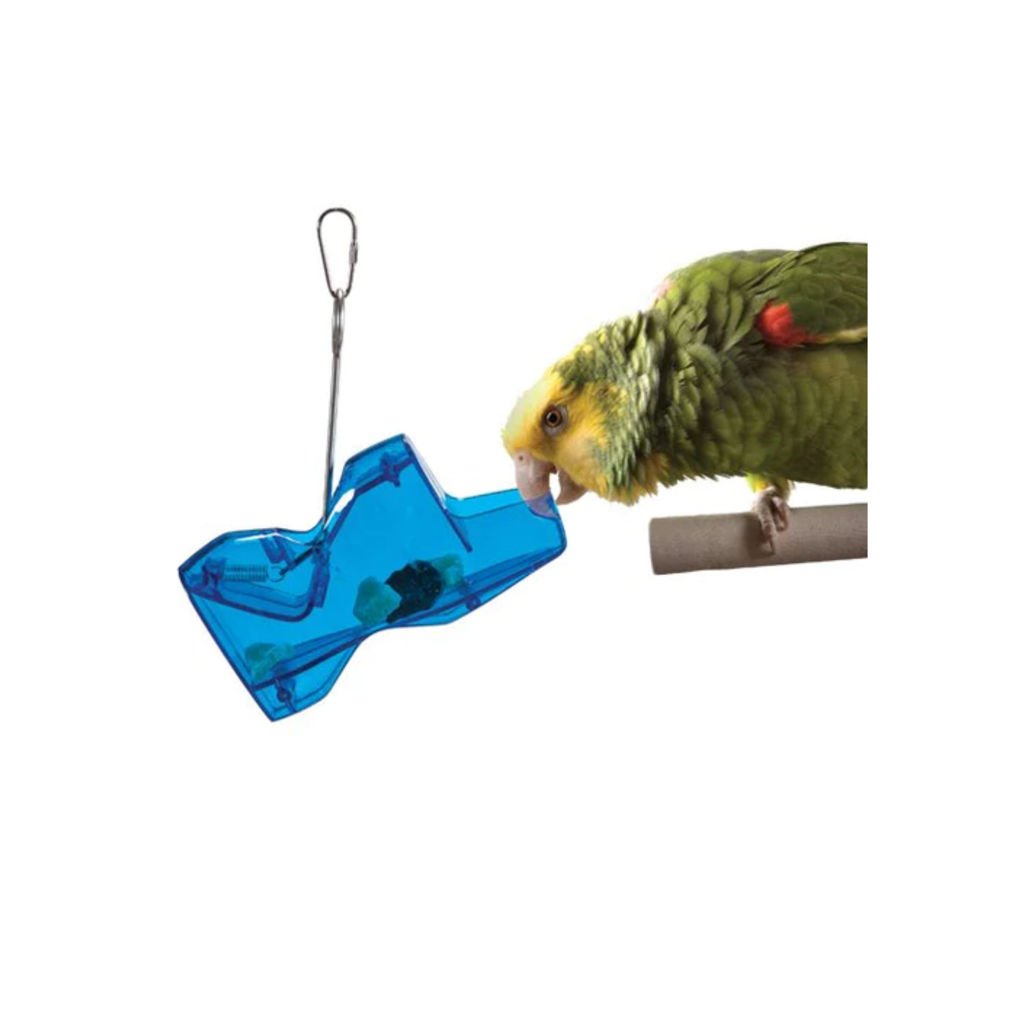 Caitec Creative Foraging See Saw Bird Toy – NewZooland