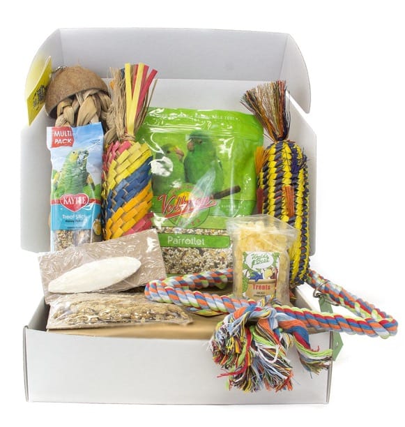 Bird Brain Box – NewZooland